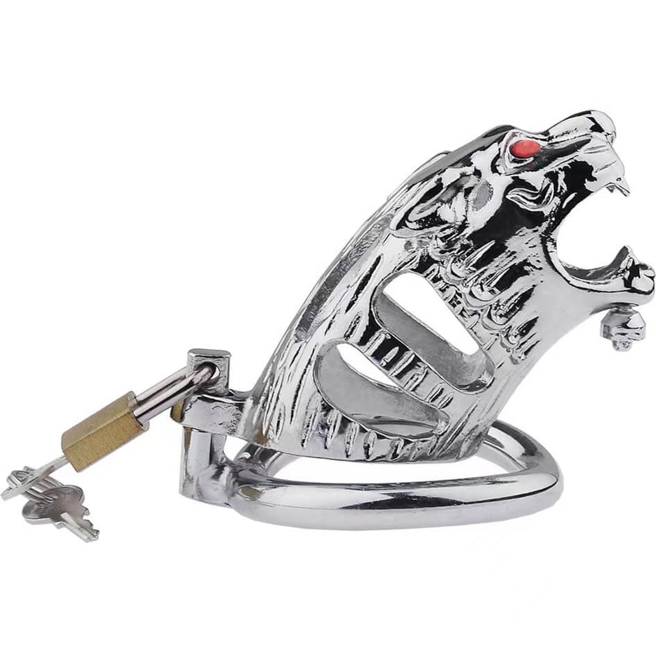 Steel Cages – Page 3 – topchastity